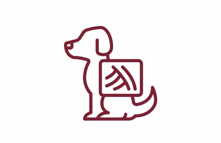 Software für Tierärzte & Tierkliniken | STARC easyVET