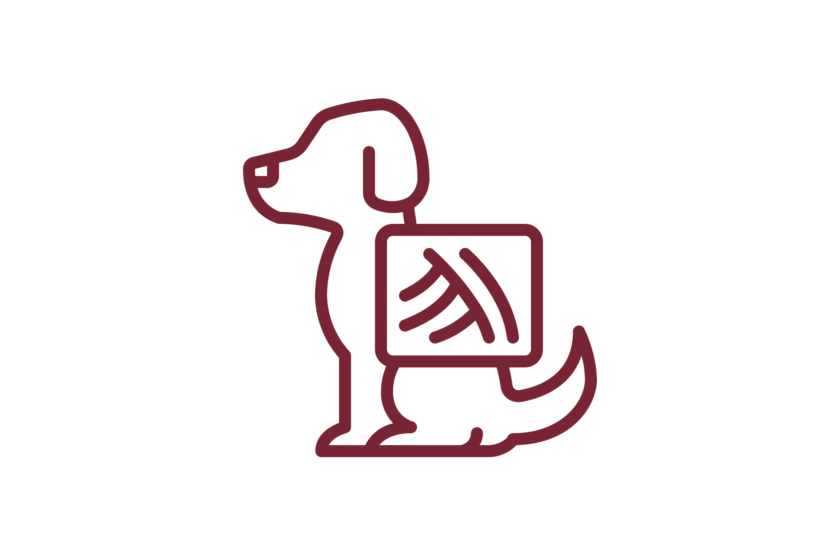 Software für Tierärzte & Tierkliniken | STARC easyVET